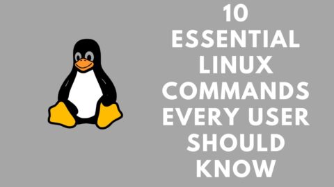 10 Essential Linux Commands Every User Should Know - RDPdatabase